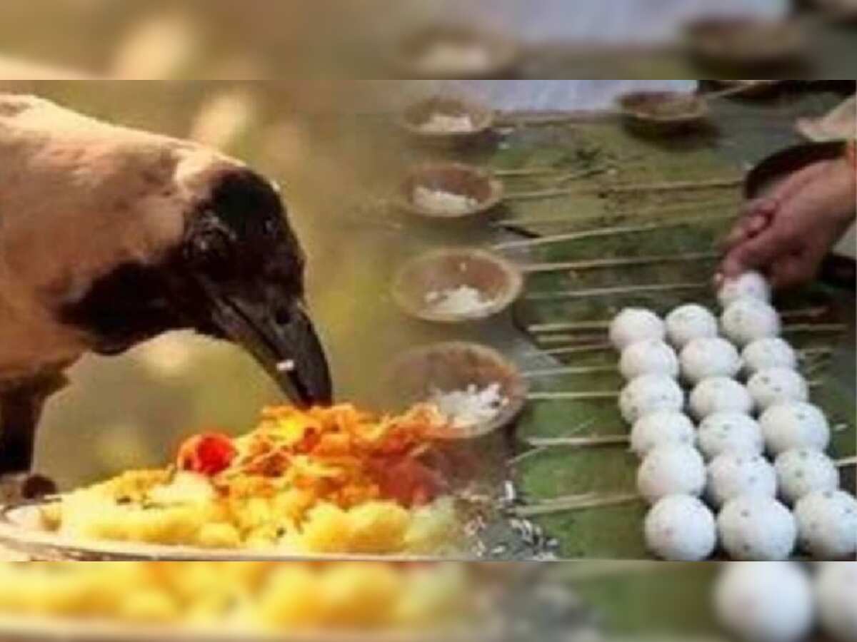 Panchabali Bhog : क्‍या होता पंचबलि भोग और श्राद्ध के समय ये क्‍यों लगाया जाता है?| Zee Business ...