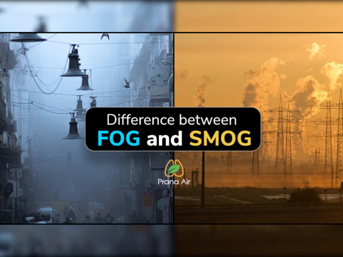 आपके शहर में दिख रही धुंध फॉग है या स्मॉग? जानिए कैसे करेंगे दोनों में अंतर