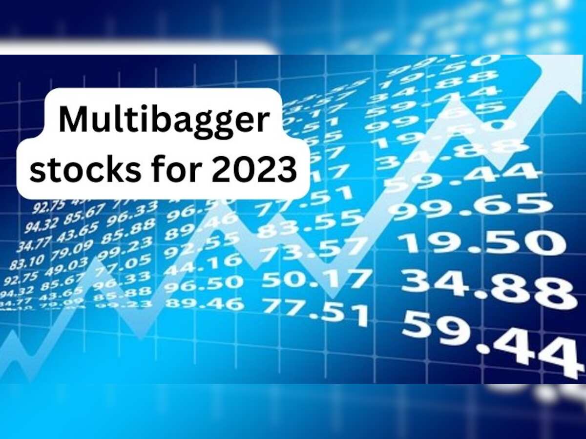 Multibagger Stocks for 2023: अगले साल के लिए इन 10 मल्टीबैगर स्टॉक्स ...