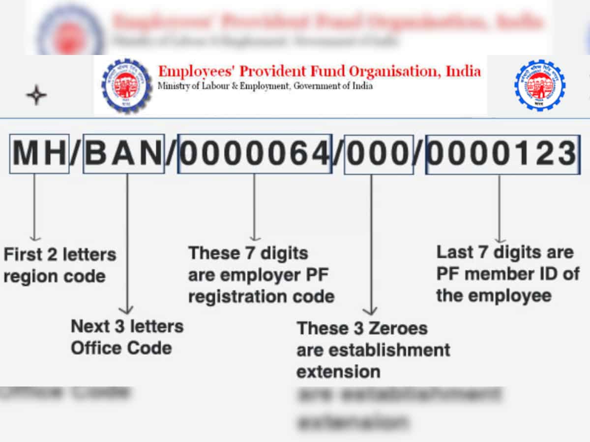 EPF खाते की Establishment member ID नहीं पता या भूल गए? ये 7 Steps ...
