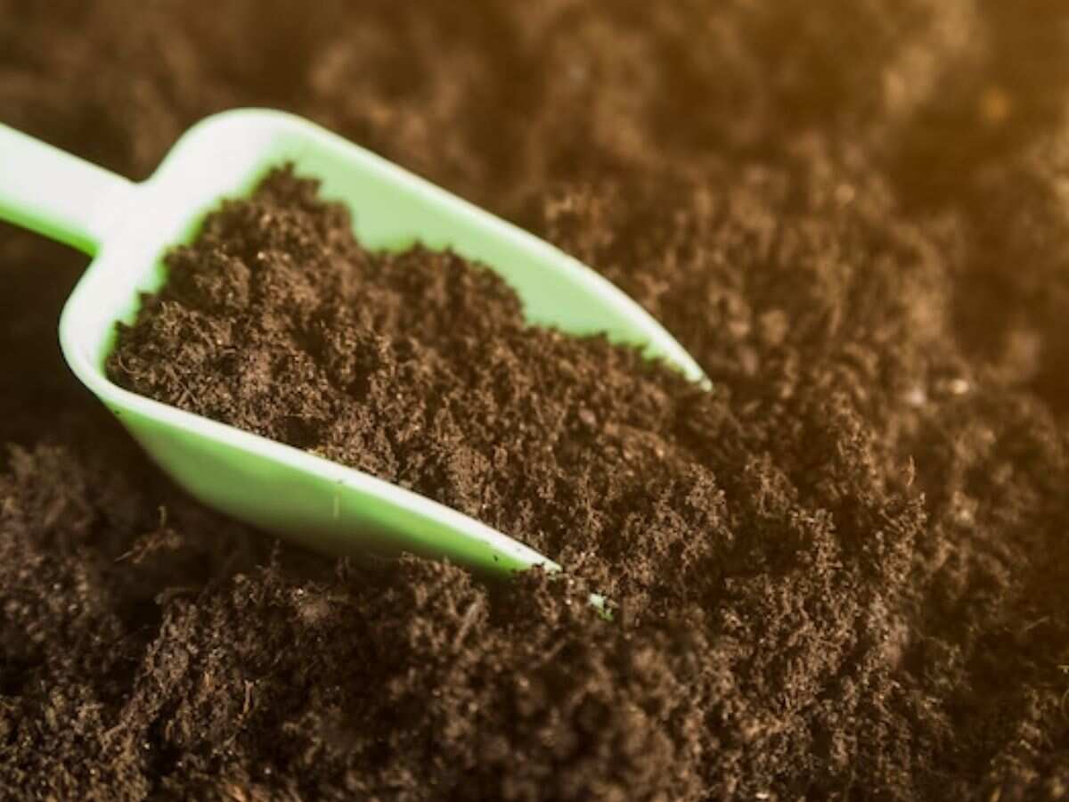 NADEP Compost: इस कम्पोस्ट से 20% तक घट जाएगी खेती की लागत, जानिए बनाने ...