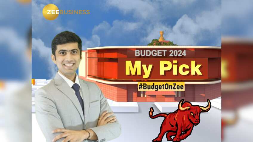 Budget Pick 2024: बजट से पहले खरीदारी के लिए एक्सपर्ट को पसंद आया ये ...