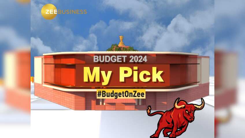 Budget Pick 2024: इन 8 शेयरों में करें खरीदारी, एक्सपर्ट्स ने जताया ...