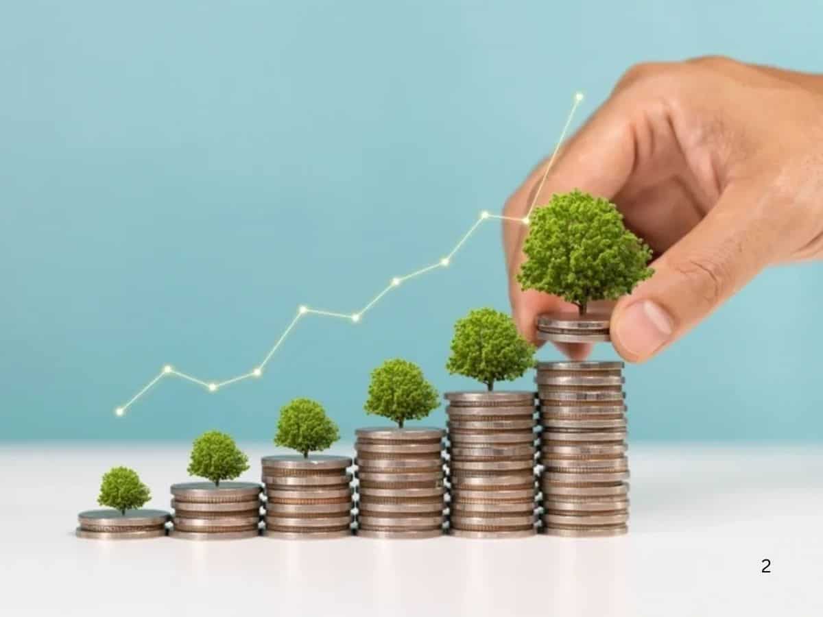 5 साल में सबसे ज्यादा रिटर्न देने वाले टॉप-5 Multi Cap Funds