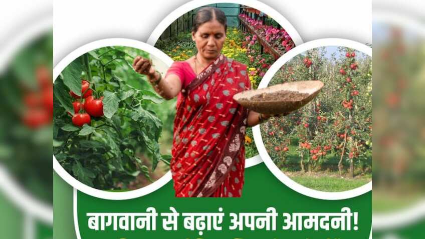 बागवानी से बढ़ेगी किसानों की कमाई! इन 4 फसलों की खेती पर सरकार दे रही ...