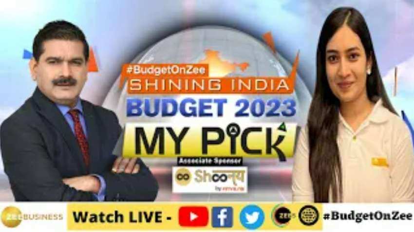 Budget My Pick: बजट 2023 से पहले शिवांगी सारदा ने Rallis India में ...
