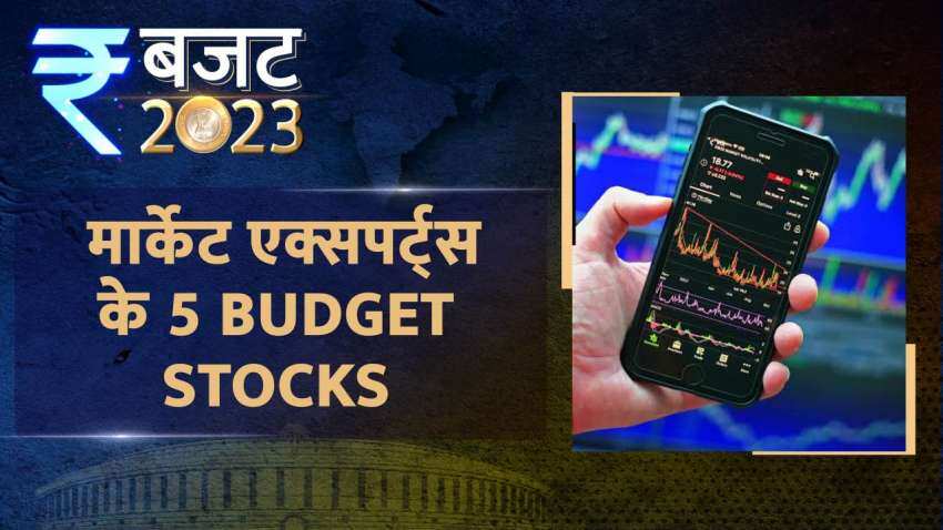 Budget Stocks: मार्केट एक्सपर्ट्स ने चुने ये 5 स्टॉक्स, अगले बजट तक ...