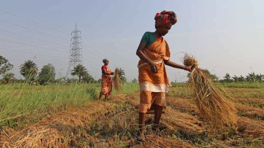 जरूरी खबर! किसानों को मिलेंगे तिल, तीसी और मोटे अनाज के बीज, बिहार ...
