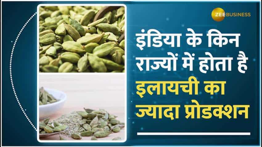 Ilaichi Production: इंडिया के किन राज्यों में होता है इलायची का सबसे ...