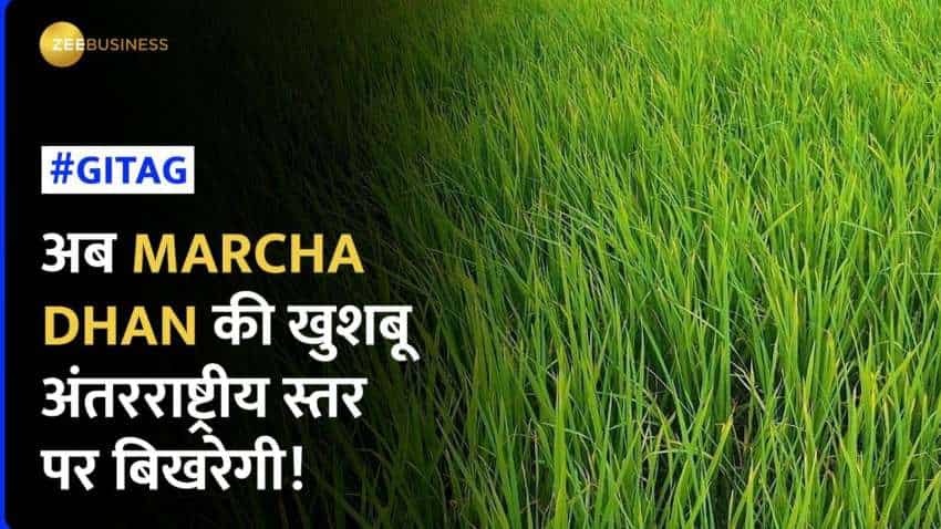 Marcha Dhan GI tag: बिहार के Marcha Dhan को मिला GI Tag, जानिये इसकी ...