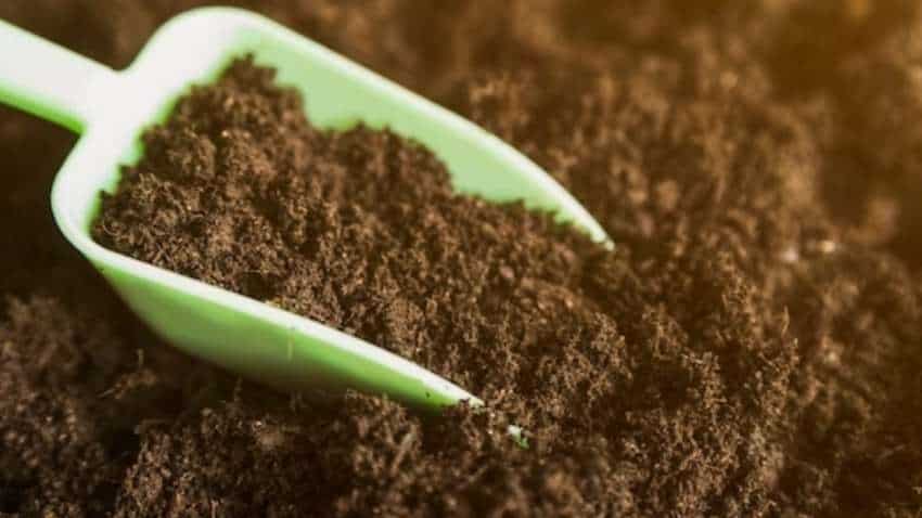 NADEP Compost: इस कम्पोस्ट से 20% तक घट जाएगी खेती की लागत, जानिए बनाने ...