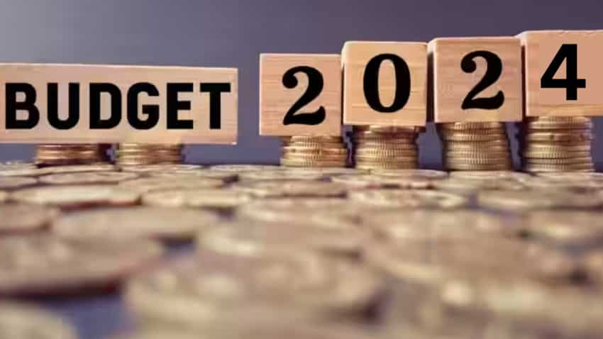 Budget 2024: क्या होती है सब्सिडी? 1 मिनट में समझिए इसका पूरा मतलब| Zee ...