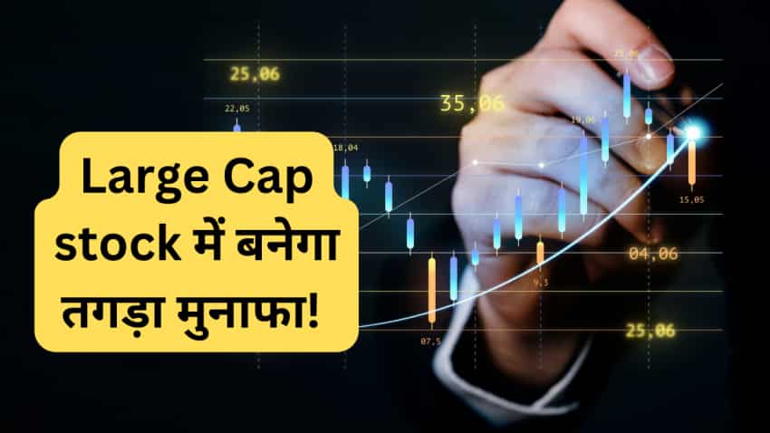ये 5 Large Cap लगाएंगे मुनाफे की दौड़, Axis Securities ने बनाया टॉप पिक्‍स