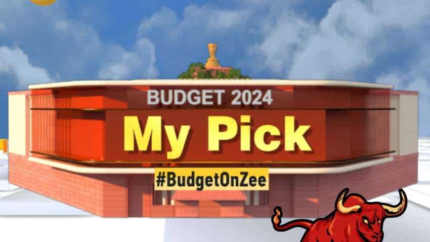 Budget Pick 2024: इन 8 शेयरों में करें खरीदारी, एक्सपर्ट्स ने जताया ...