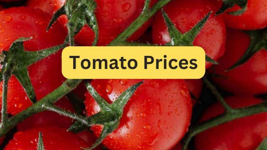 Tomato Prices: टमाटर की कीमतों में आई नरमी, 22.4% तक गिरे दाम, जानें लेटेस्ट रेट