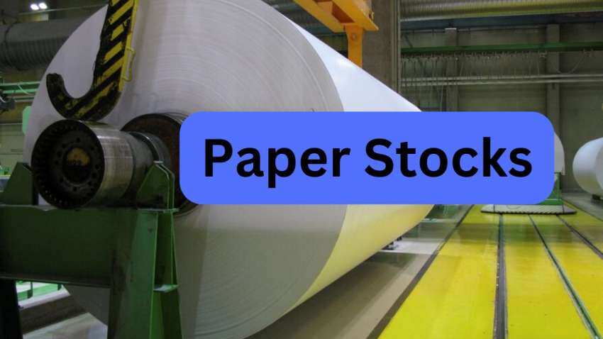 Paper Stocks पर रखें नजर, FY25 में 2-3% घटेगा पेपर इंडस्ट्री का रेवेन्यू