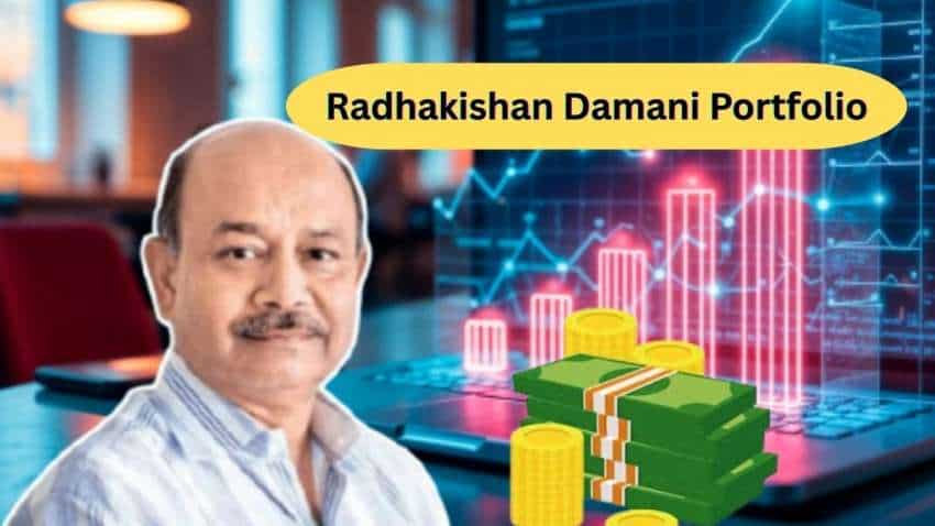 Radhakishan Damani Portfolio: इस नए Stock पर लगाया दांव, 1 में घटाया ...