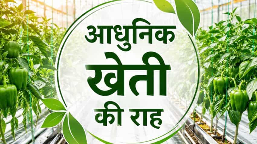 नौकरी को कहा अलविदा, मिट्टी से जोड़ा नाता! आधुनिक तकनीक से खेती को ...