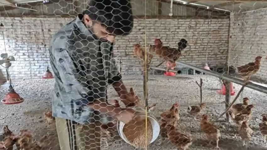कभी कर्ज लेकर चलता था घर, आज हर महीने ₹60,000 की कमाई! जानें सफलता की कहानी