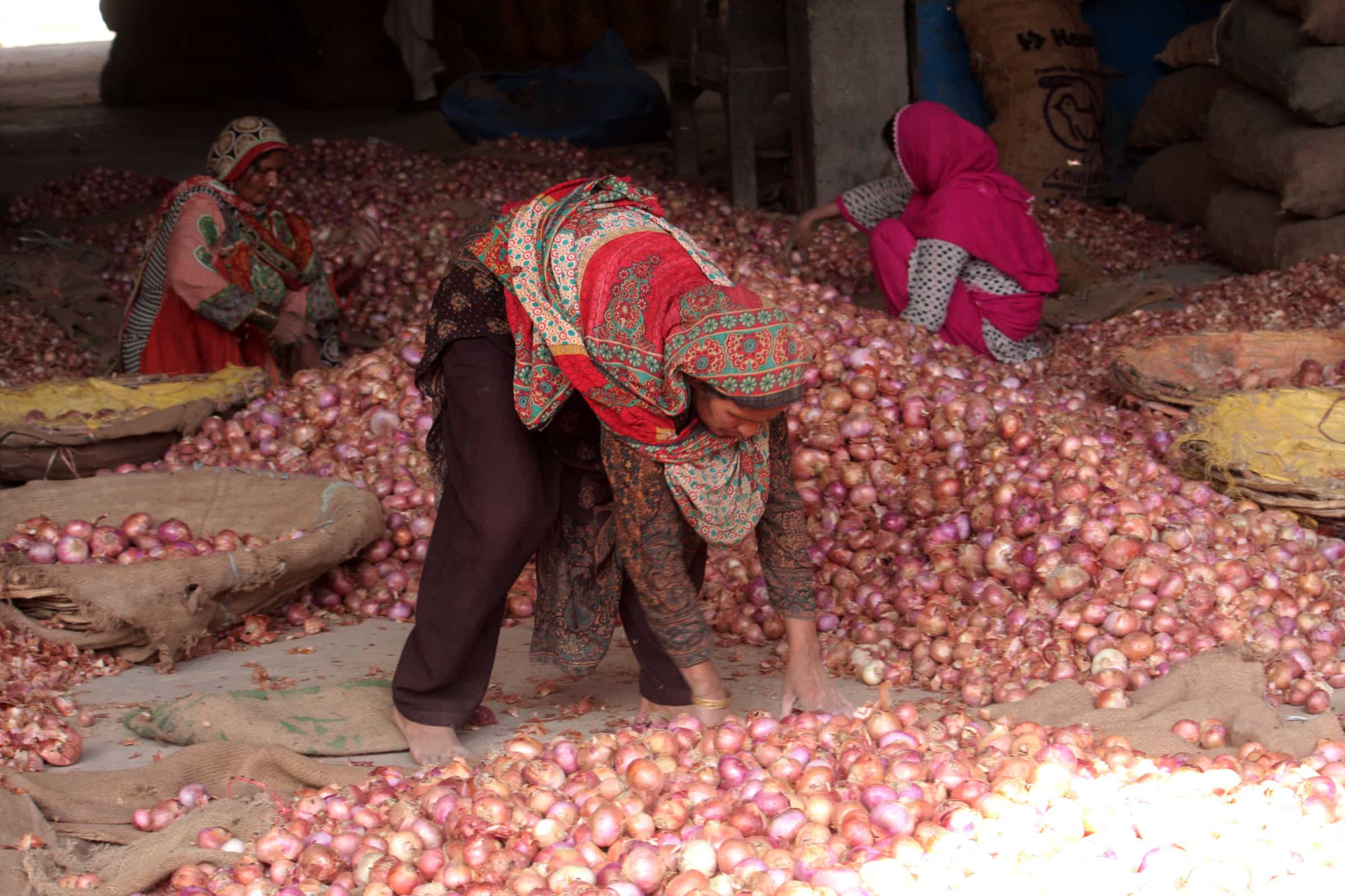 Onion conundrum: Farmers now want Fadnavis to raise prices