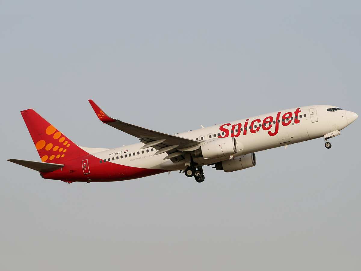 SpiceJet reports 104% jump in net profit; shares fly high | Zee Business