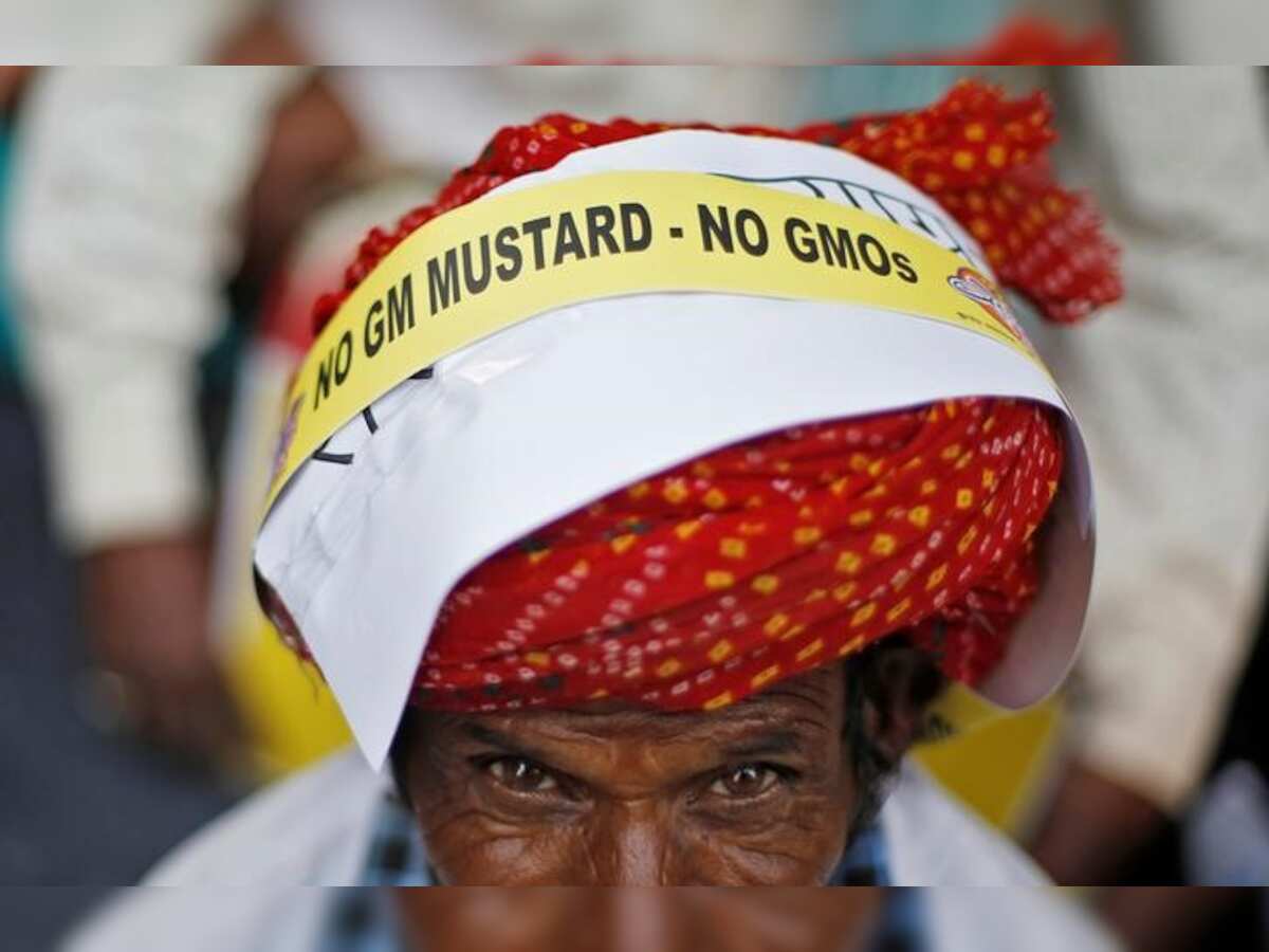 India's regulator clears use of GM mustard, final approval awaited ...