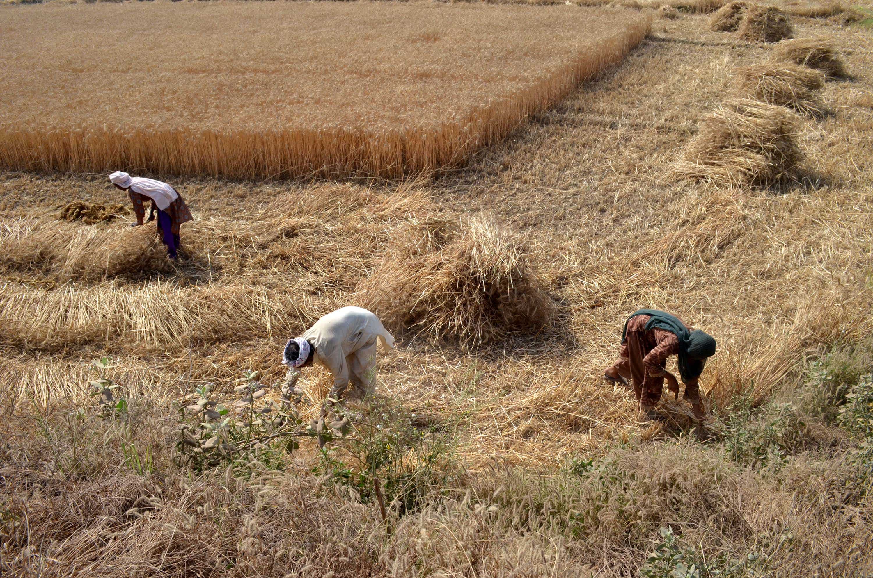 On Day 2 of farmers' strike, shortages pinch Maharashtra