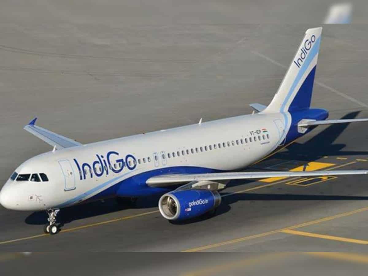 IndiGo, SpiceJet, Vistara spread wings, fly abroad to escape price war ...