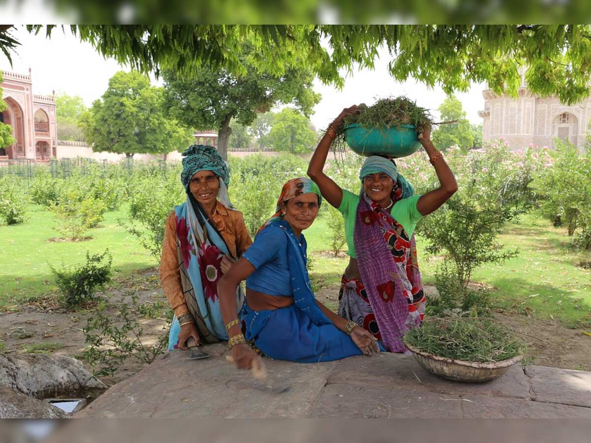 This is what a BJP win in Rajasthan assembly elections would mean to ...