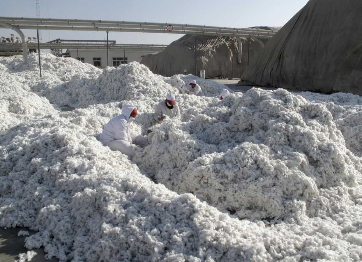 Cotton yarn exports surge helps Indian spinners record healthy recovery ...