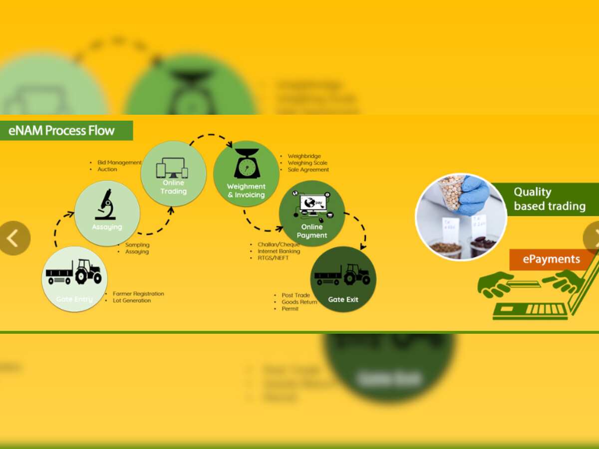 From Gujarat wholesale markets to Rajasthan mandis, how agri-items ...