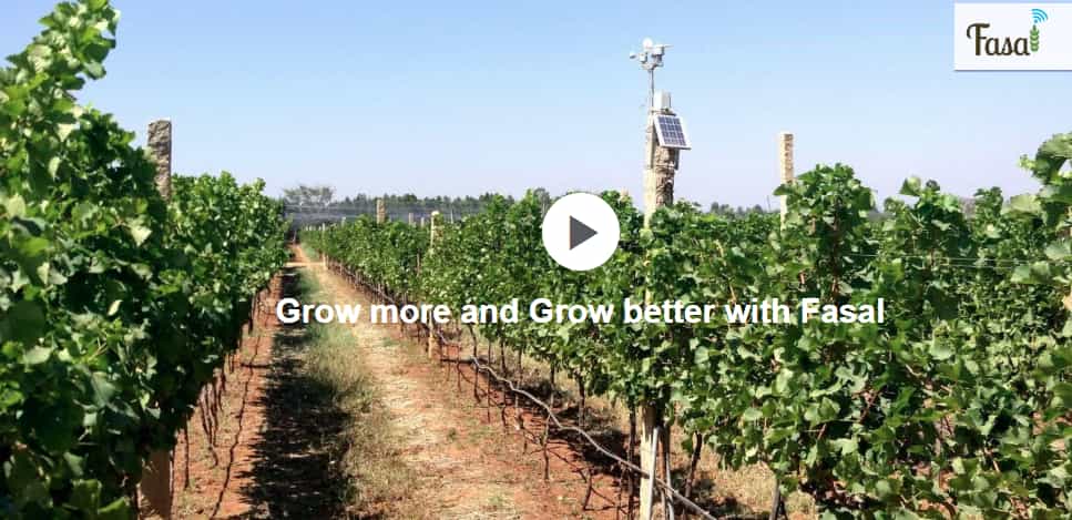 How this Agritech startup is helping farmers in India