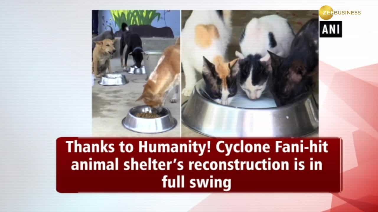 Cyclone Fani-hit animal shelter's reconstruction is in full swing | Zee ...