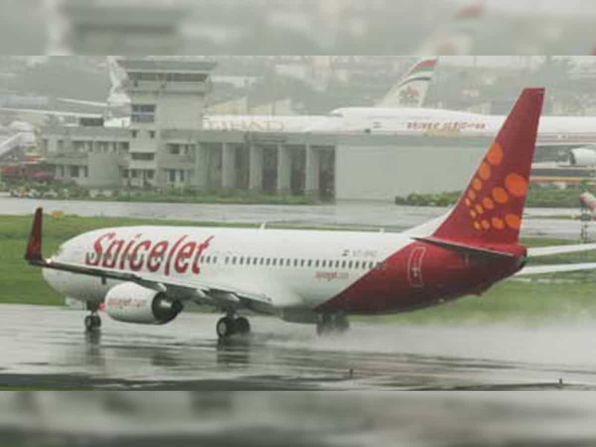 SpiceJet to launch 12 new domestic flights from October; Check other ...