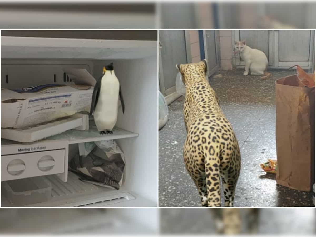 Google 3D animals: Bring Leopard, Eagle, Octopus, others to your home ...