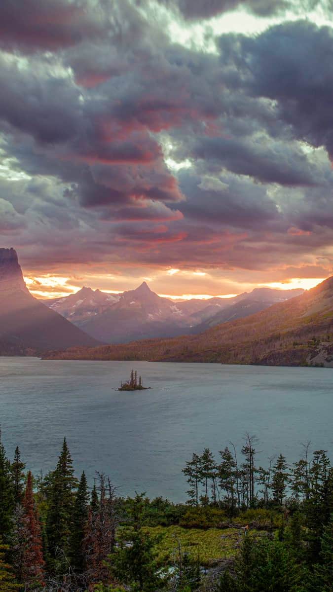 Android users alert! Setting this image as wallpaper can make your ...