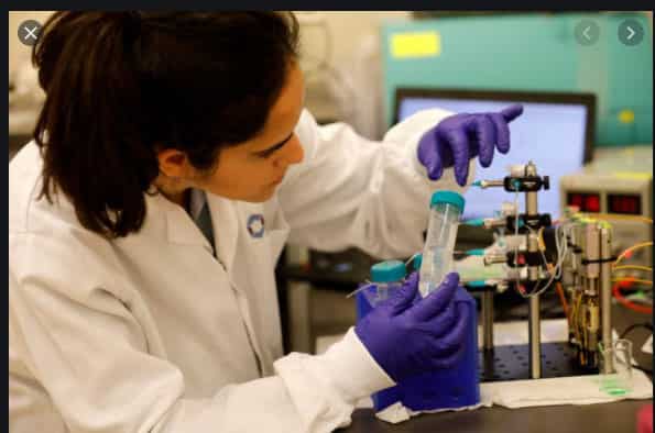 Navin Fluorine - Foundation for further growth laid; upgrading to Buy
