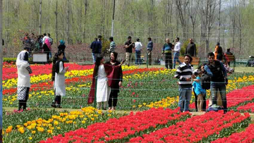 Spring blooms as mercury rises in Kashmir | Zee Business