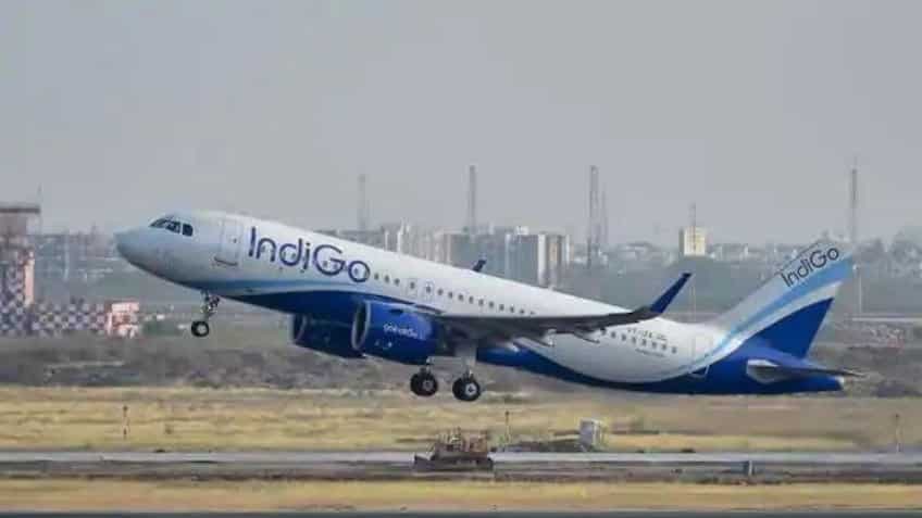 IndiGo 6E Double Seat Service: Stress-free flying experience! Know ...