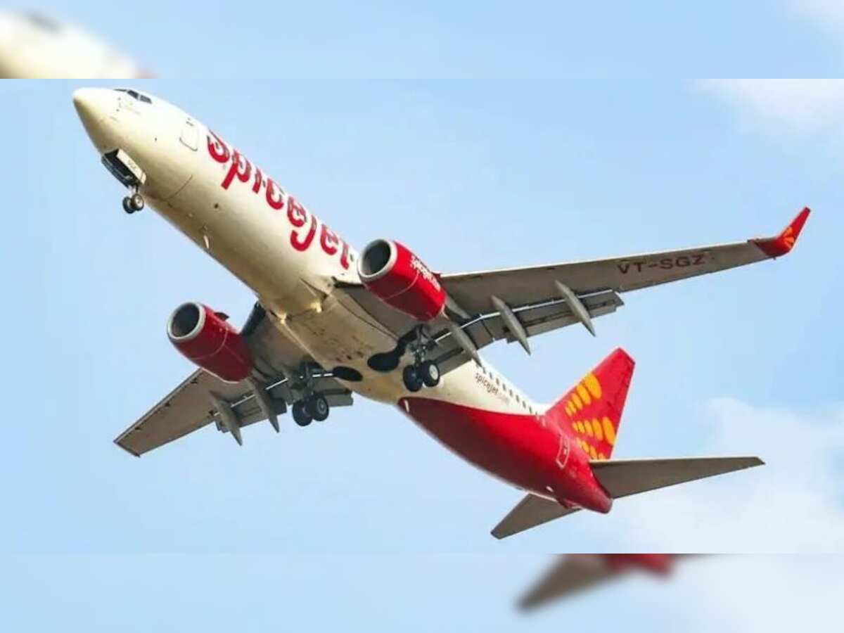 SpiceJet's SME High Flyer Program: DISCOUNTED FARES, 50% off on ...