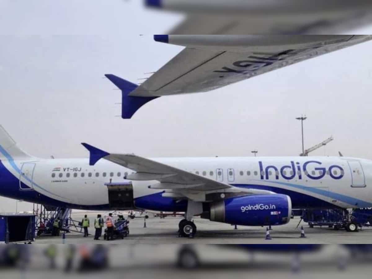 Skip call centre queue with Indigo's Plan B Service for cancelled ...