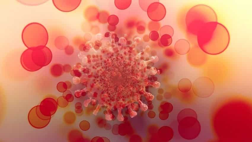 First Omicron case in US adds to global alarm over virus variant | Zee ...