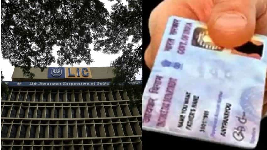 How LIC policyholders can update their PAN to participate in the ...