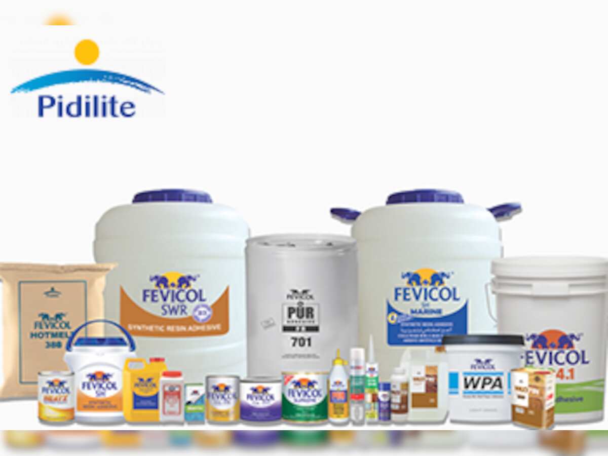 Pidilite Industries' net profit falls 19.5% to Rs 359.2 cr in December ...