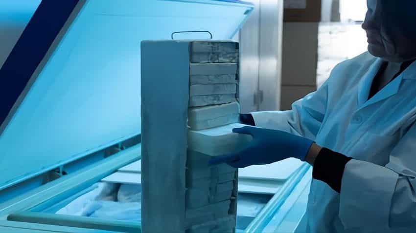 The inside scoop on cold chain shipping for medical services | Zee Business