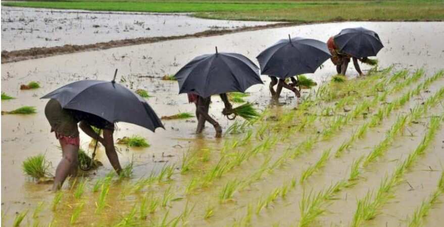 Commodities Live: How will it rain in the cultivated area? Where is the ...