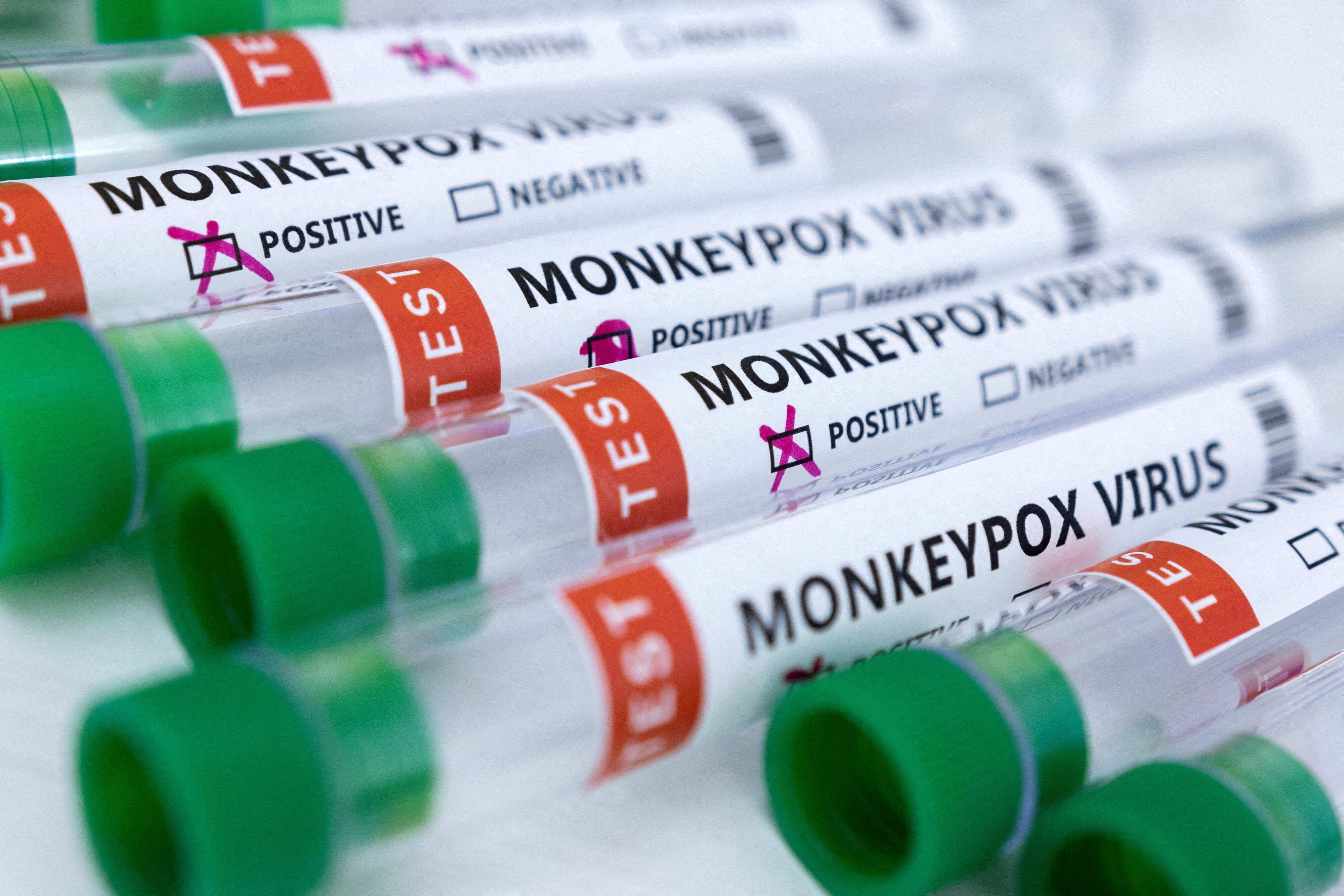 Explainer: Monkeypox - New disease? Symptoms, recovery period, how does ...