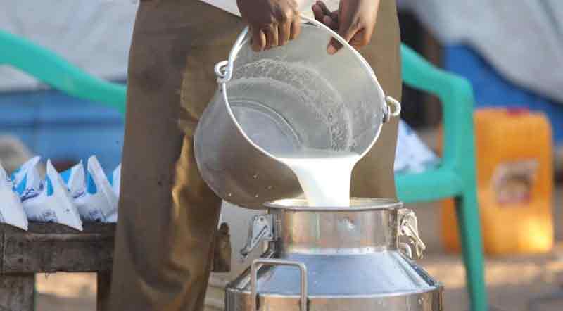 Incredible feat! India ranks 1st in global milk production; check key ...