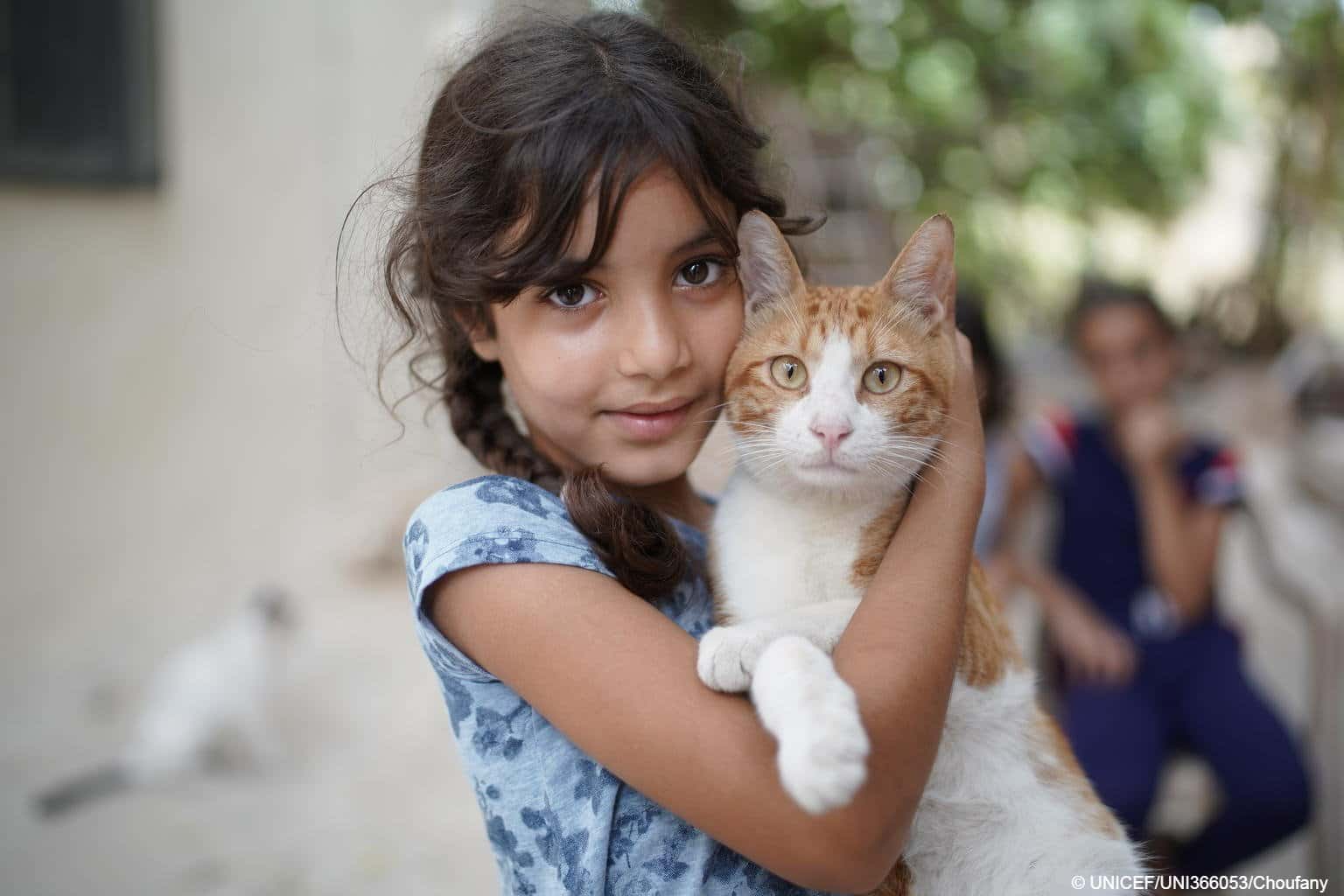 International Cat Day 2022: 5 ways to celebrate your furry friend | Zee ...