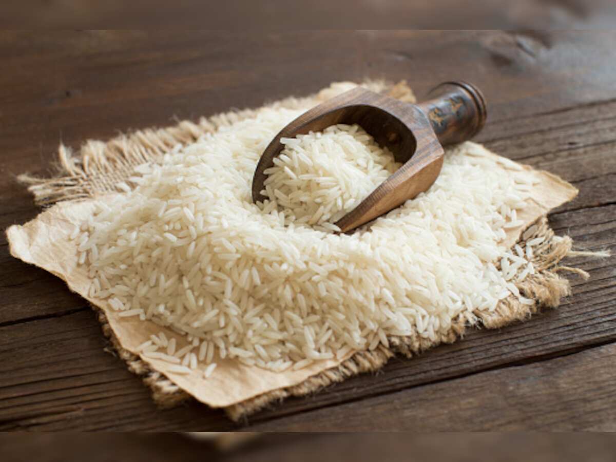 KRBL share price touches new 52-week high, stock jumps nearly 14% ...